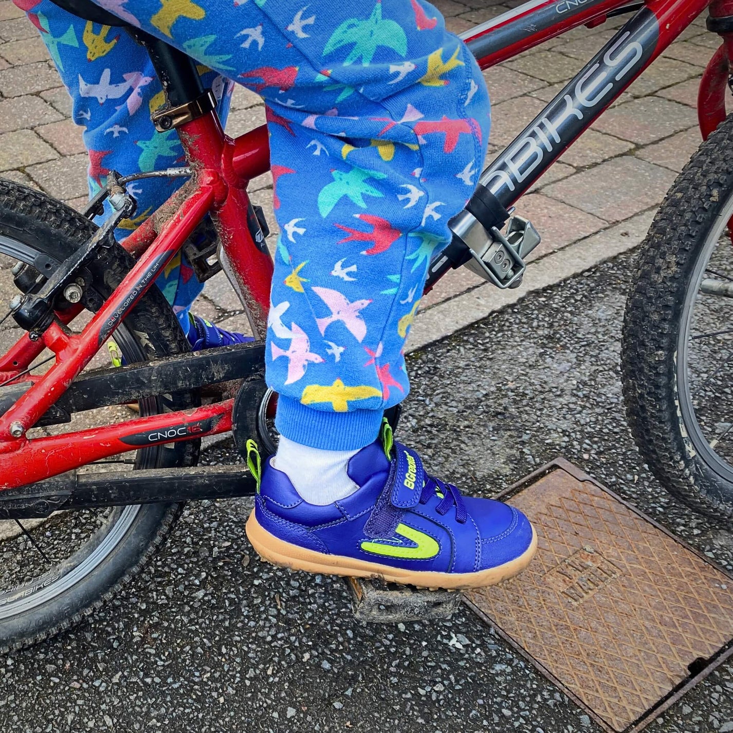 All Season Levison Trainer - Blue | Kids Barefoot Shoes | BGreater